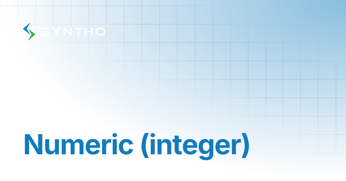 Numeric Integer Syntho Documentation